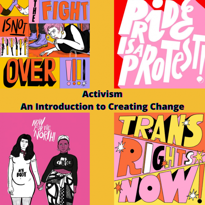 Activism: An Introduction to Creating Change - Reimagine | Remake | Replay